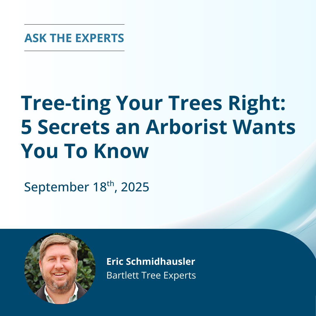 Tree-ting Your Trees Right: 5 Secrets an Arborist Wants You to Know